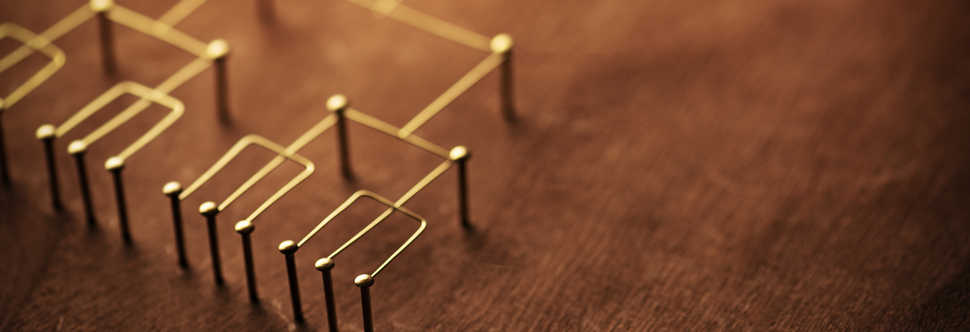 Realigning Our Structure: An Inside Look at the Proposed Bylaw Changes